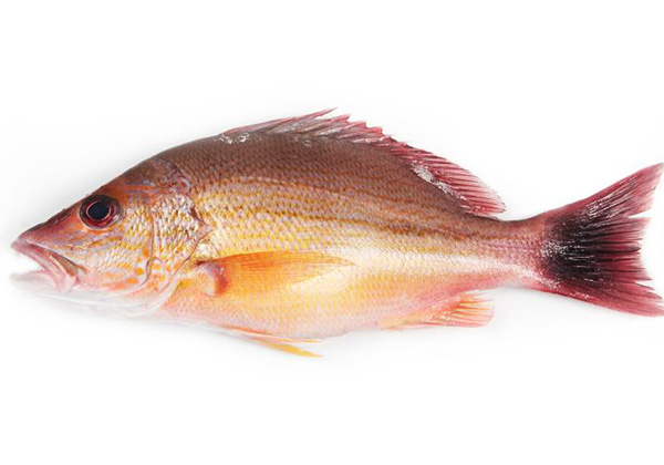 Fish | East West Seafoods Sdn Bhd