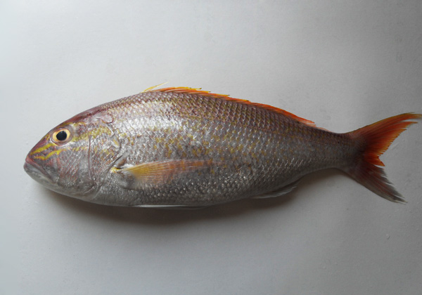 Fish | East West Seafoods Sdn Bhd