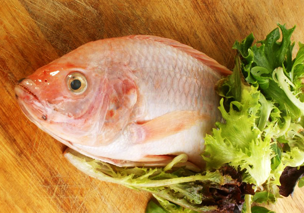 Fish | East West Seafoods Sdn Bhd