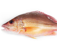 East West Seafoods Sdn Bhd
